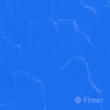 FLOWT – We Bring Sleep Home